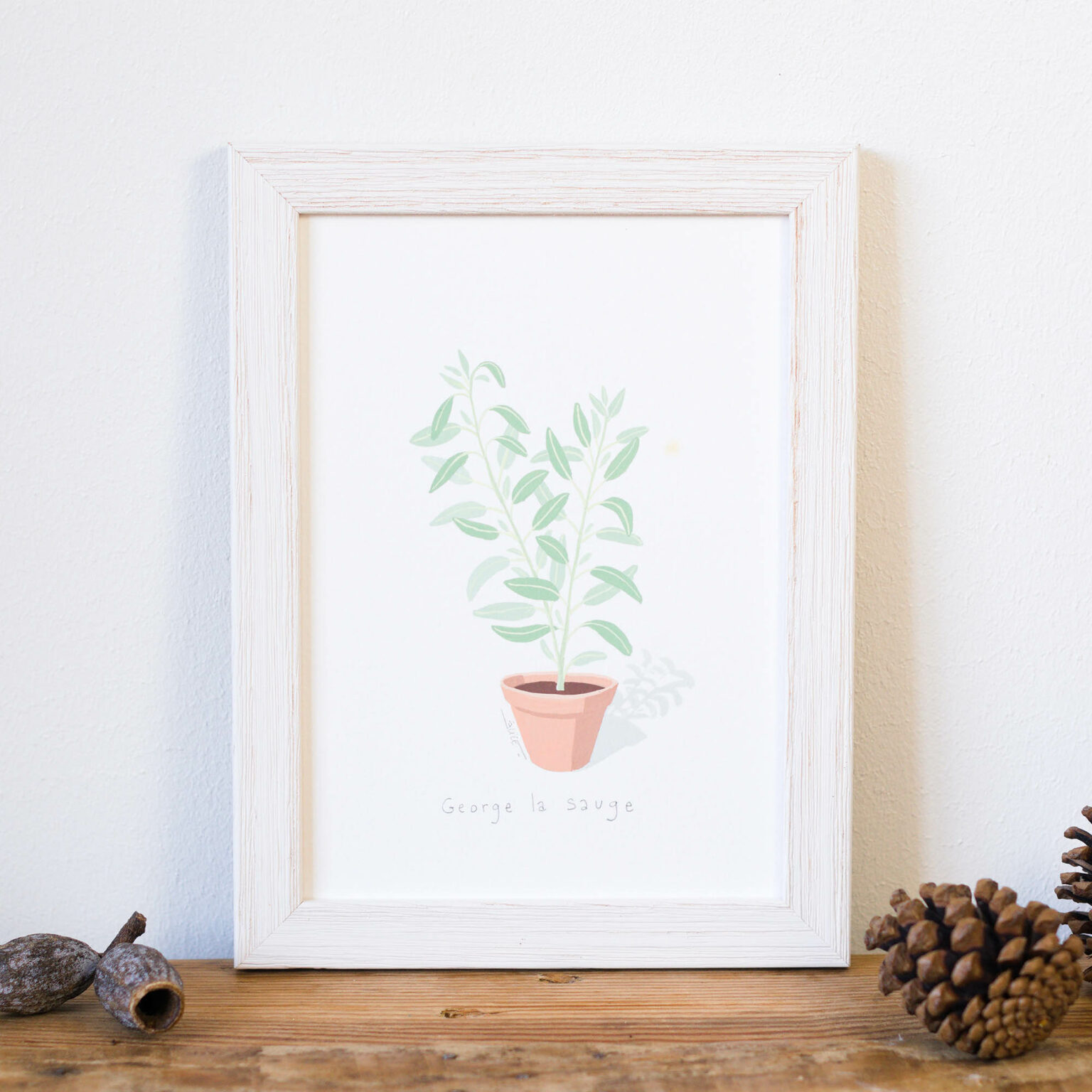 Gouache Originale Georges la sauge – Élice